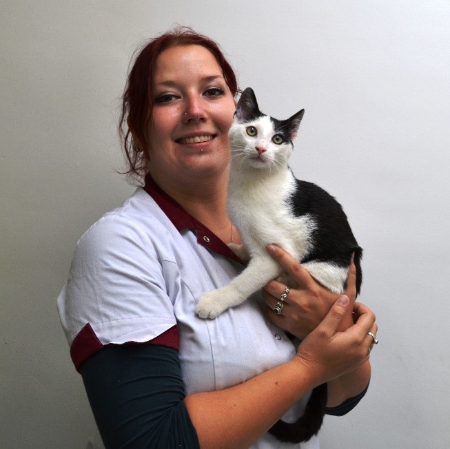 Katten weetjes! | Kels' Cats